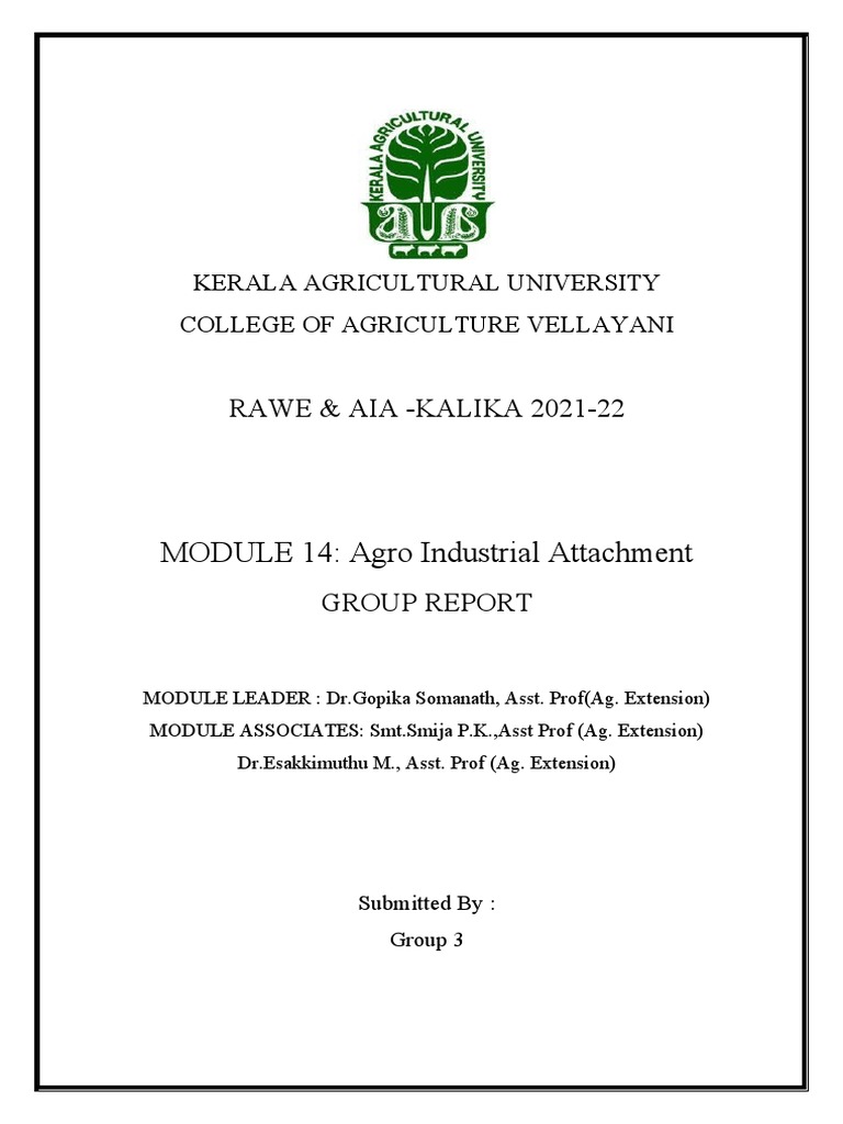 Group 3 Aia Report | PDF | Net Present Value | Business