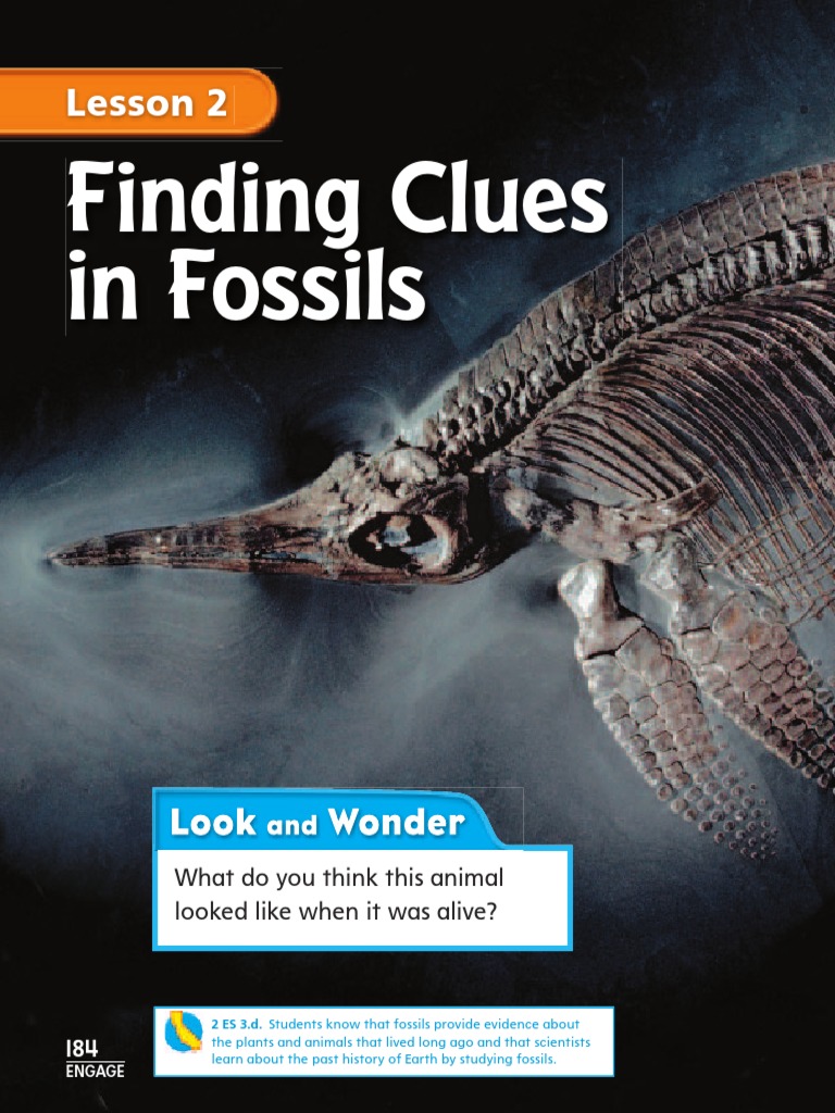 Finding Clues in Fossils: Lesson 2 | PDF | Fossil | Paleontology