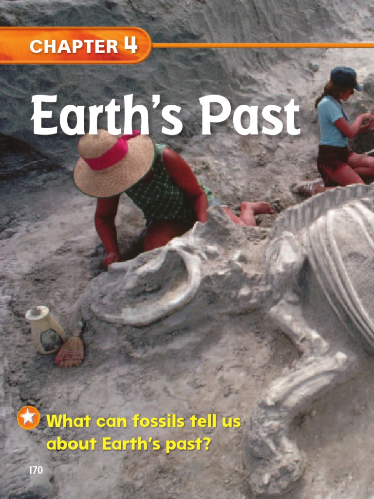 What Can Fossils Tell Us About Earth's Past? | PDF | Fossil | Nature