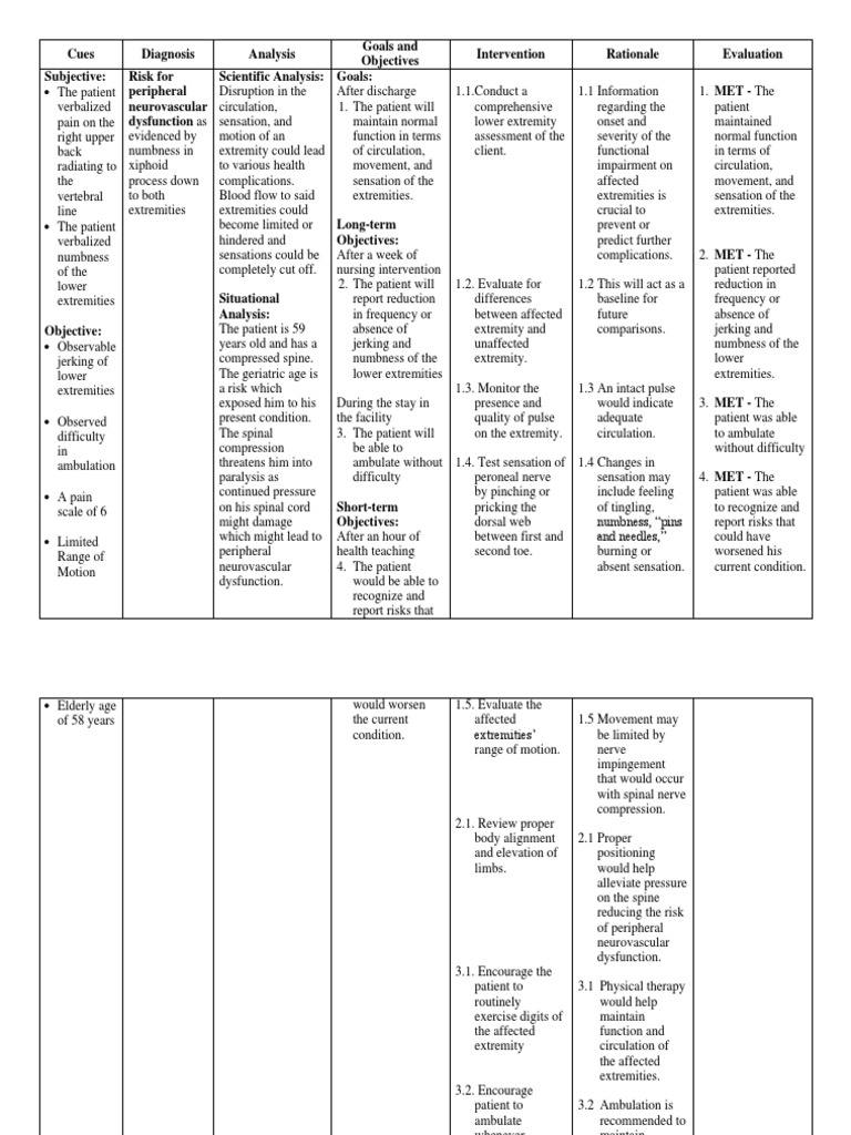 Peripheral Neurovascular Dysfunction Plan | PDF | Pain | Paresthesia