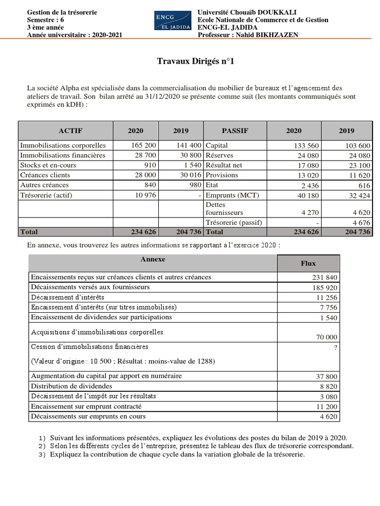 Analyse du Bilan Comptable 2020 | PDF | Dividende | Bilan comptable