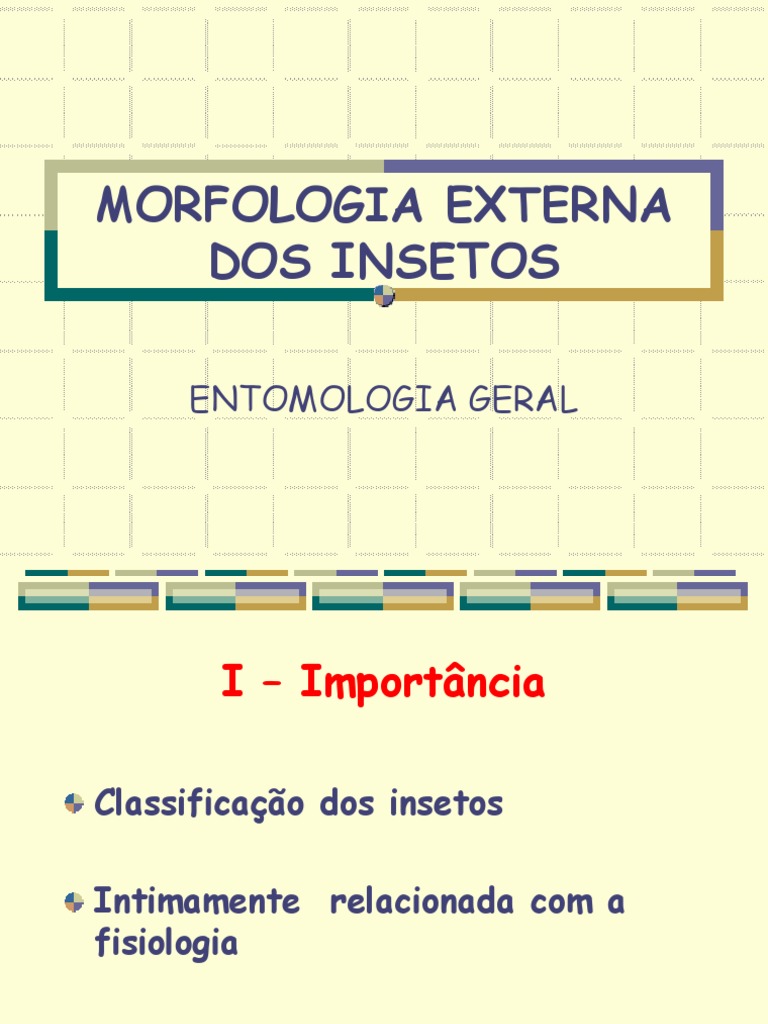 Morfologia Externa dos Insetos | PDF | Insetos | Besouro