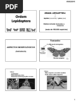 Anatomia da Borboleta: Estruturas e Funções | PDF | Anatomia | Corpo humano