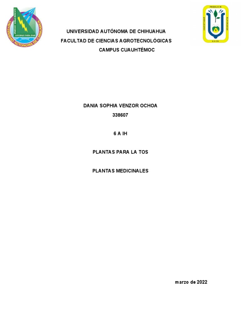 Plantas Medicinales Para La Tos Pdf Eucalipto Hoja