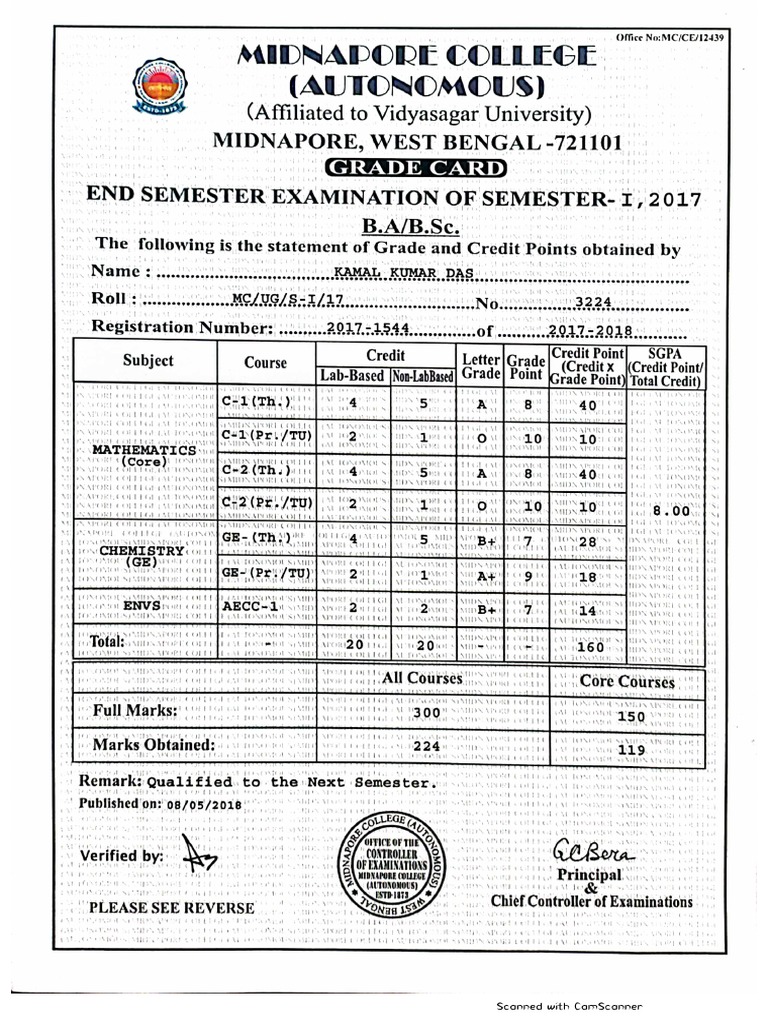 BSC Marksheet | PDF
