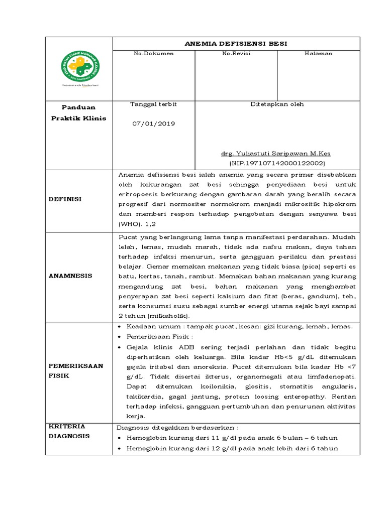 PPK Anemia Defisiensi Besi | PDF