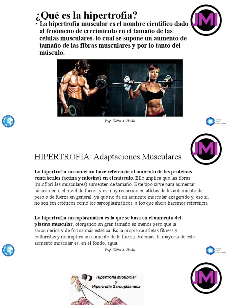 Qué Es La Hipertrofia | PDF | Hipertrofia muscular | Músculo esquelético