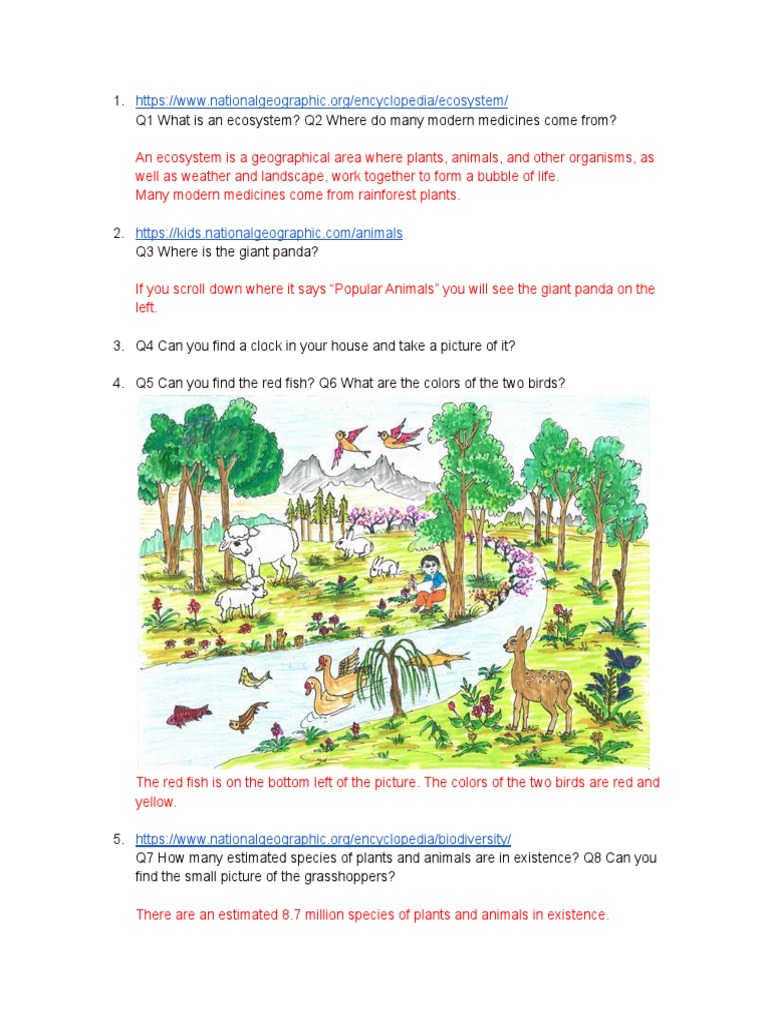 scavenger hunt answer key | PDF