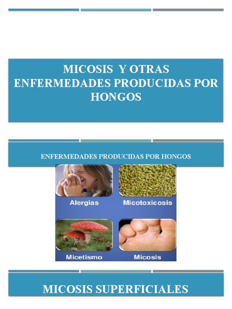 CLASE 21, Micosis y Otras Enfermedades Producidas Por Hongos | PDF ...