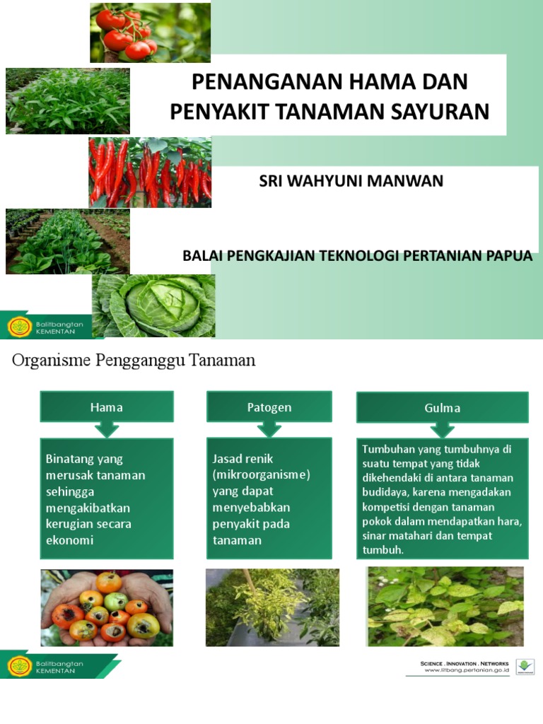 Hama Dan Penyakit Tanaman Sayuran | PDF