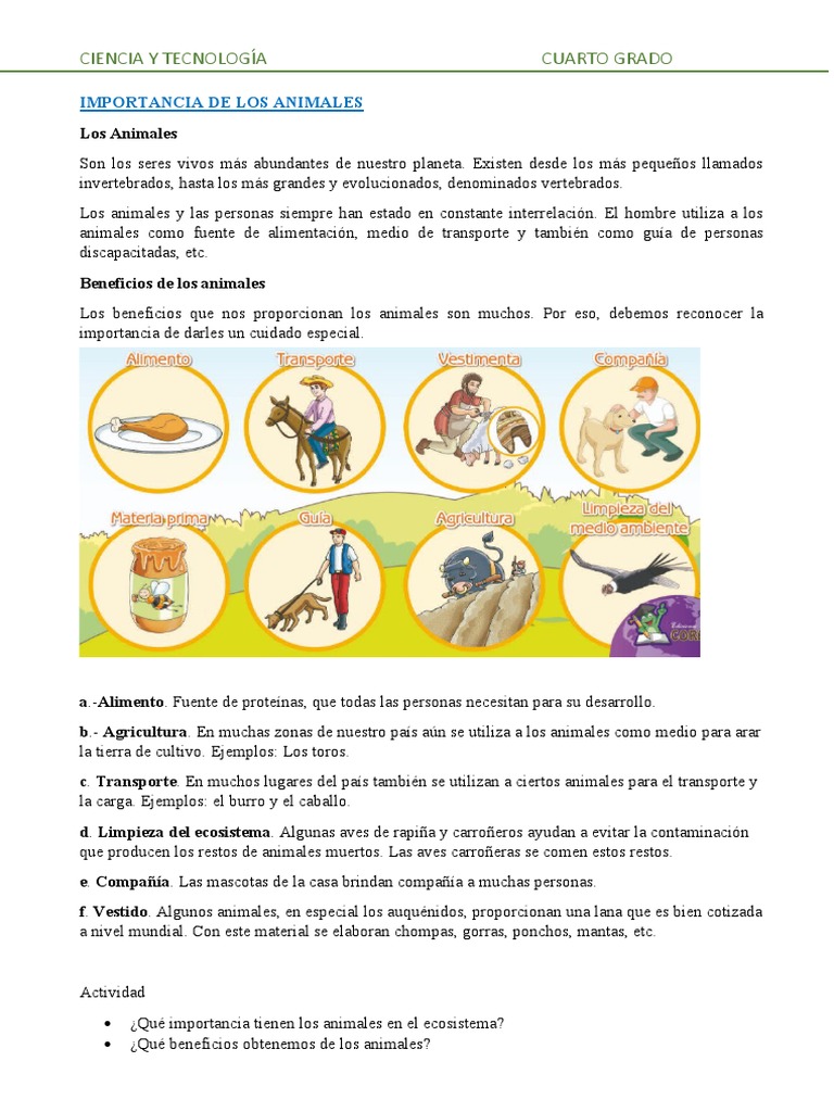 Importancia de los Animales en la Vida Humana | PDF