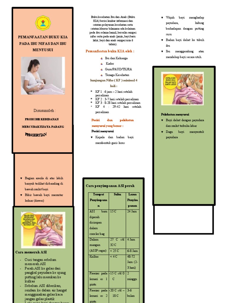 Leaflet Kel.2 Pemanfaatan Buku Kia | PDF | Kesehatan Holistik