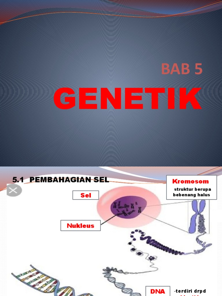Bab 5 Genetik | PDF