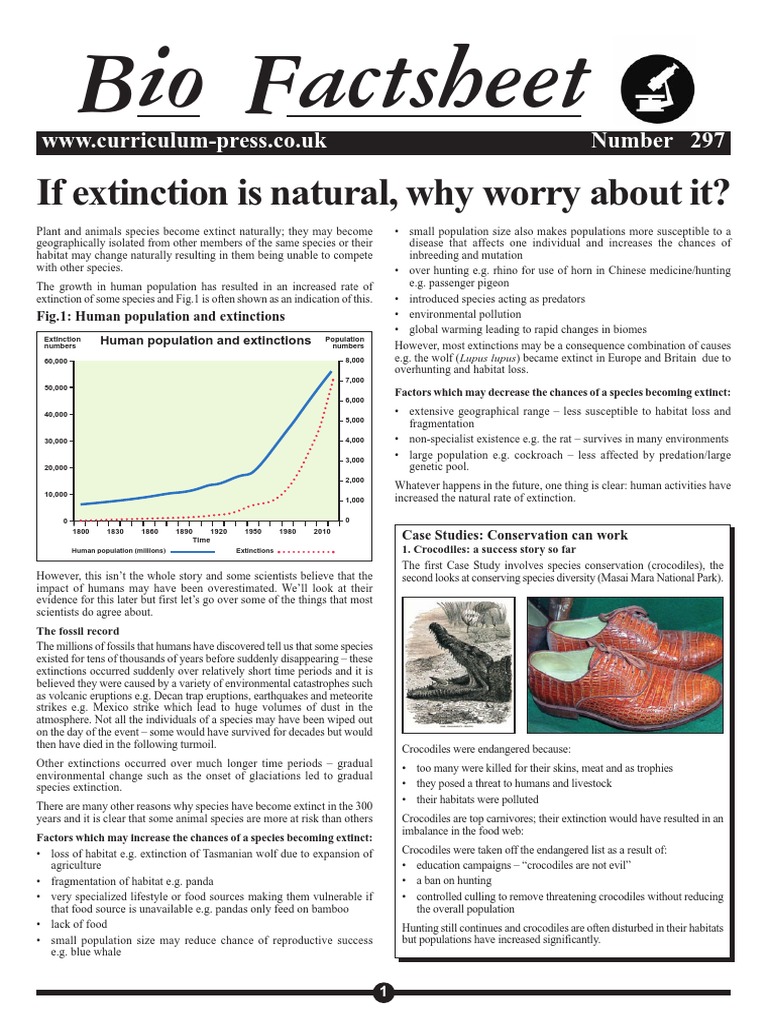 Bio Factsheet 297 Extinction | PDF | Extinction | Conservation Biology
