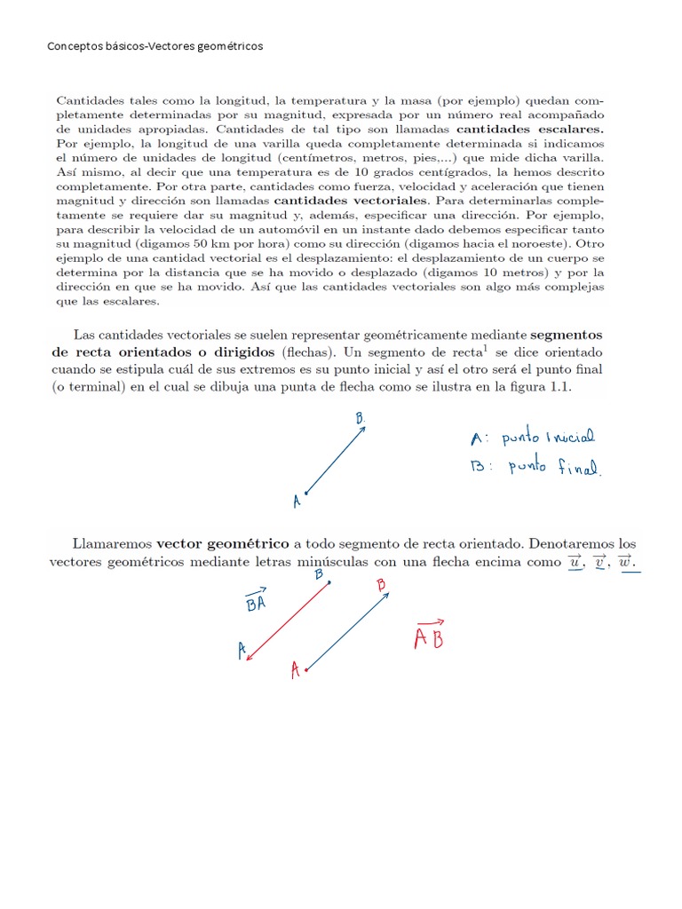 Conceptos Básicos-Vectores Geométricos | PDF | Arte | Informática