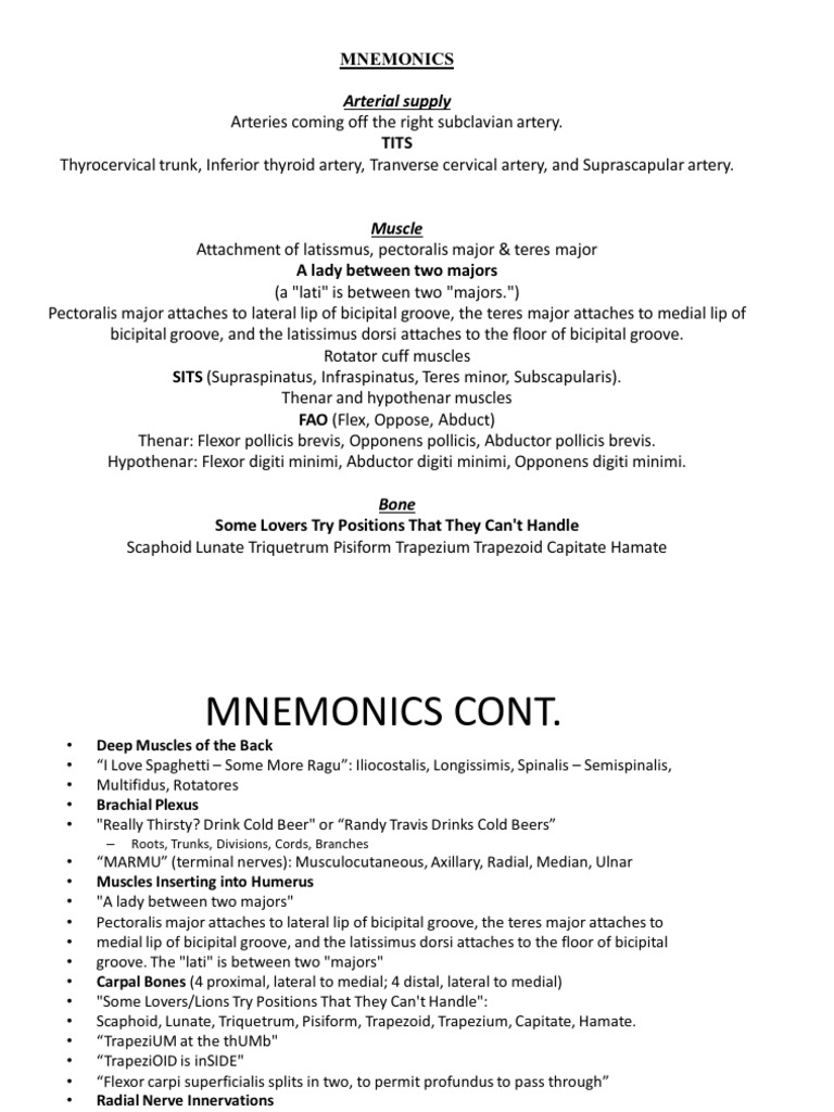 Upper Limb Muscle Mnemonics Guide | PDF | Thumb | Soft Tissue