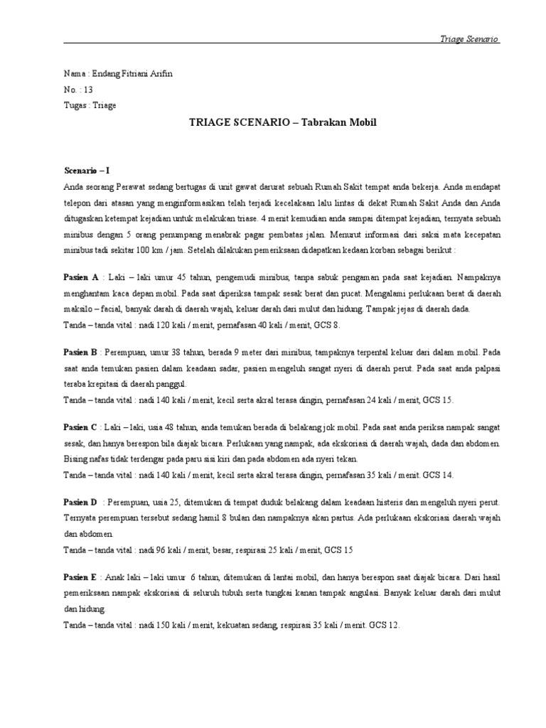 Triage Scenario Prioritization Pdf