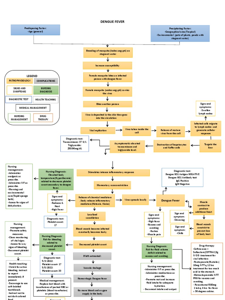 Concept Map Dengue Fever | PDF | Fever | Medicine