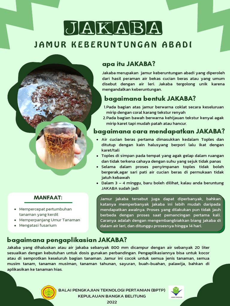 JAKABA | PDF