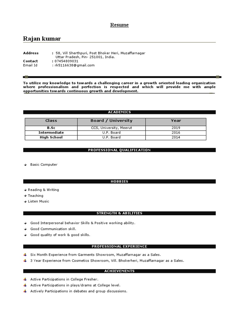 Rajan Resume | PDF