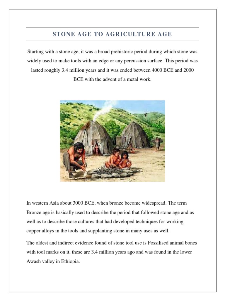 Stone Age To Agriculture Age | PDF | Stone Age | Civilization