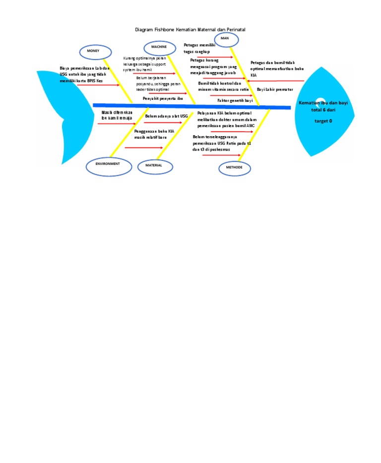 Diagram Fishbone Kematian Maternal Dan Perinatal | PDF