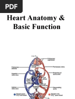 Cardiac Study Guide | PDF | Heart Failure | Cardiac Arrhythmia