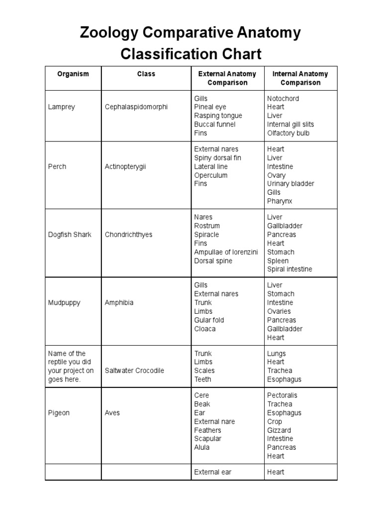 Comparative Anatomy Classification Chart | PDF | Anatomy | Fish
