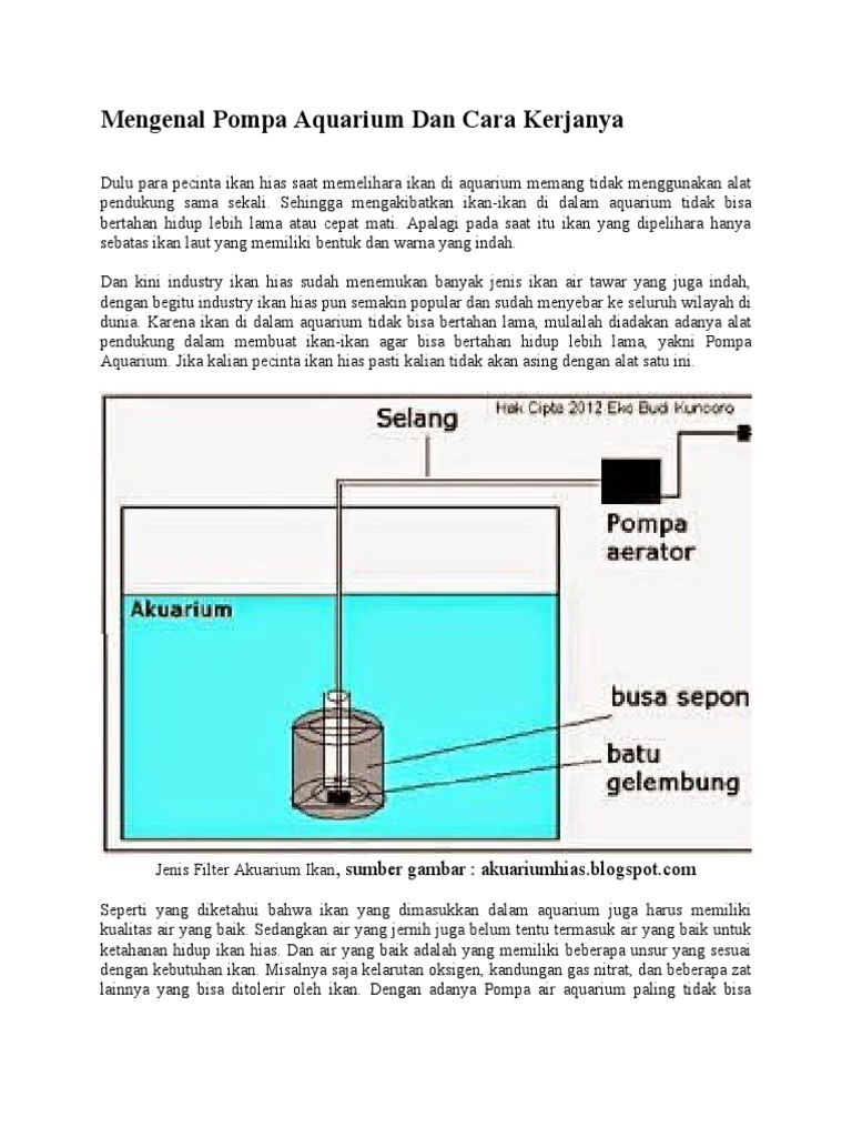 Mengenal Pompa Aquarium Dan Cara Kerjanya | PDF
