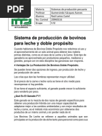 Sistema de Producción de Leche en Granjas Bovinas Familiares | PDF | Vacas | Leche