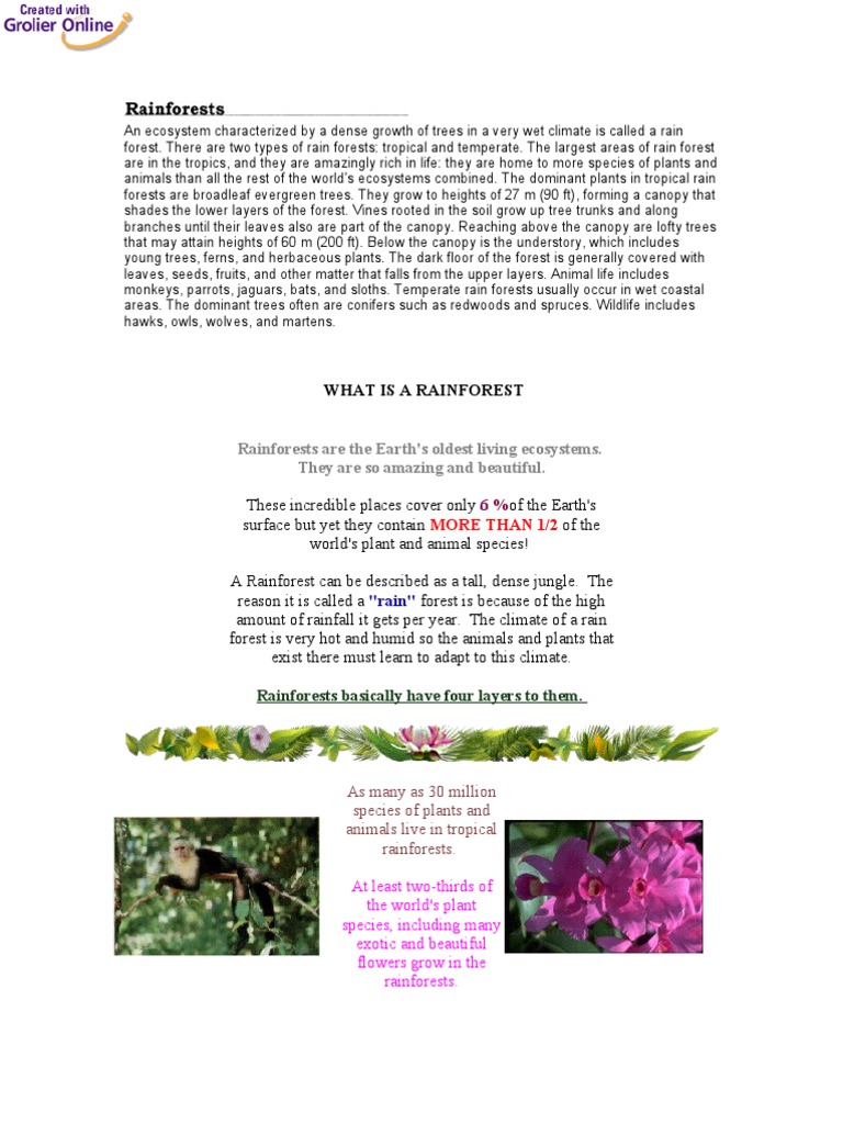 Rainforest Wonders for Nature Lovers | PDF | Science & Mathematics