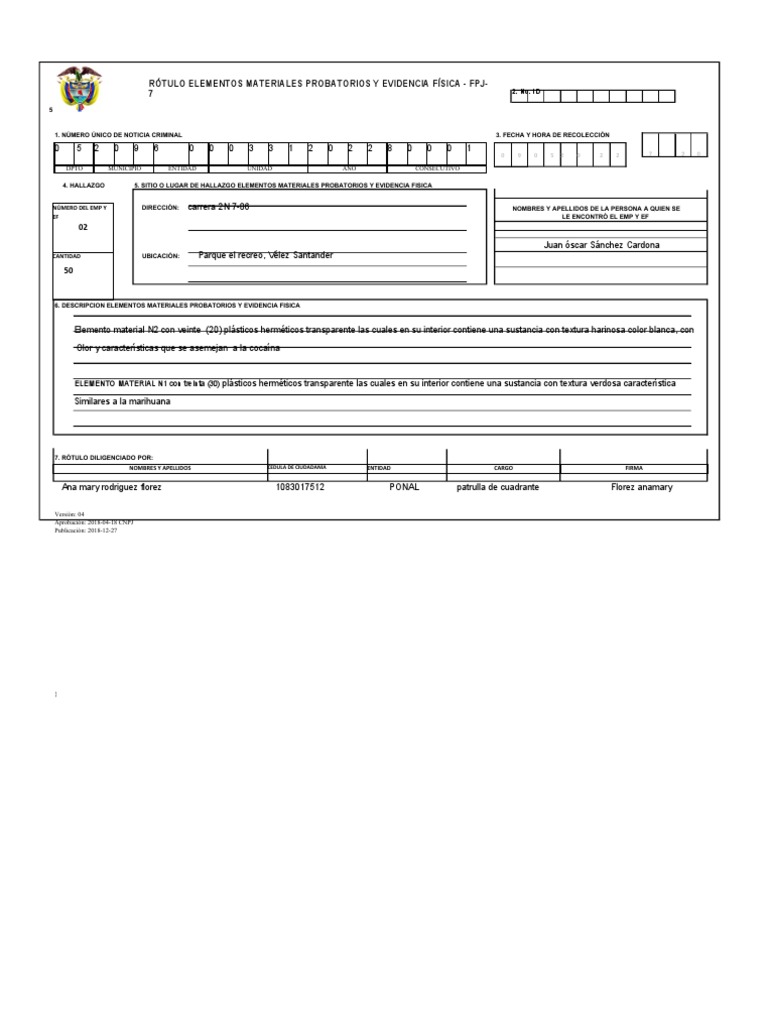 FPJ-7 ROTULO Formato | PDF