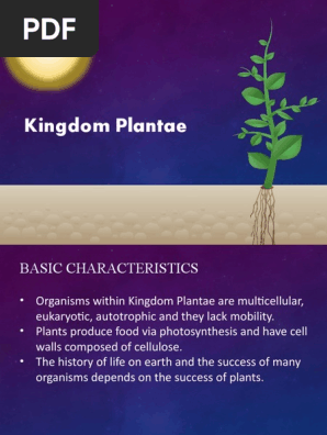 Kingdom Plantae Divisions