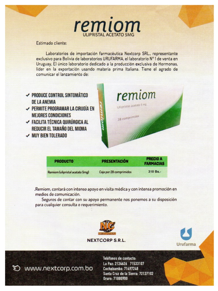 REMION | PDF