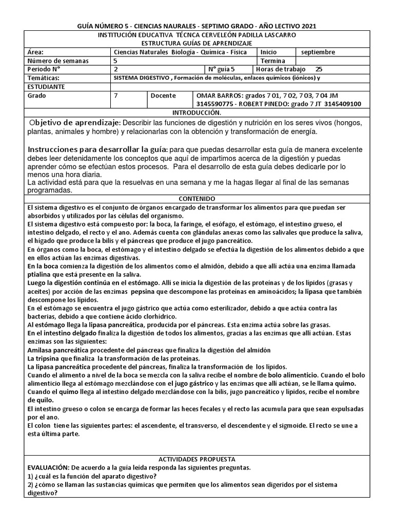 Guía de Ciencias Naturales 7° Grado | PDF | Digestión | Sistema ...