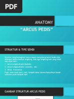 Anatomi dan Struktur Arcus Pedis | PDF | Ilmu Sosial