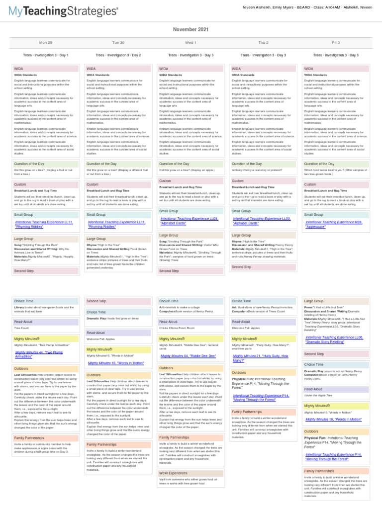 Lesson Plan | PDF | Information