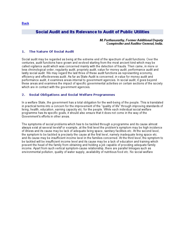 Social Audit | PDF