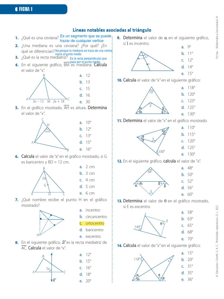 Líneas Notables Asociadas Al Triángulo FICHA 1 | PDF | Triángulo | Geometría del plano euclidiano
