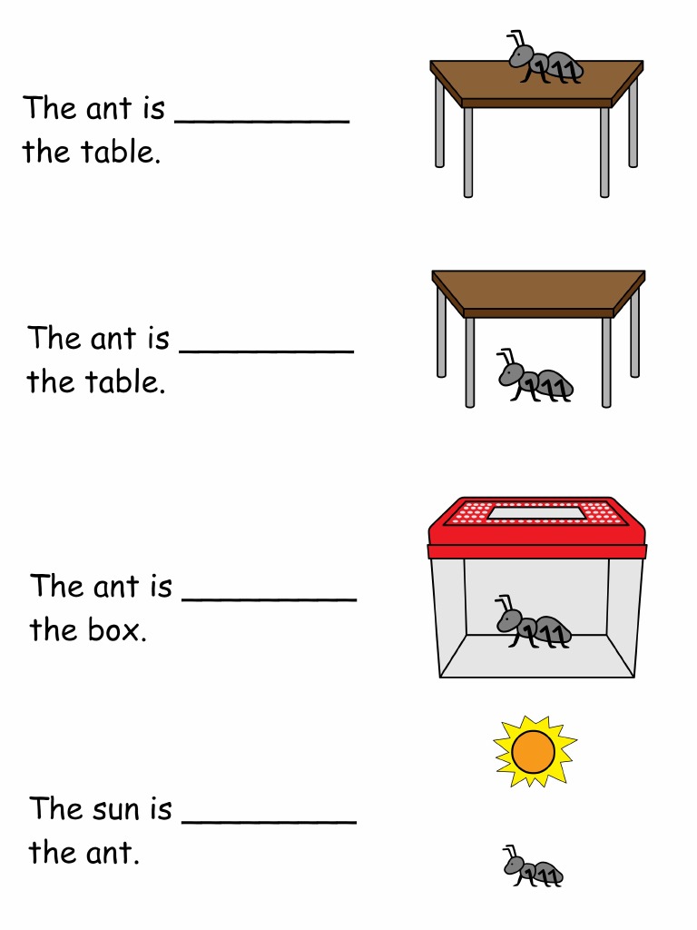 Ant and Prepositions | PDF