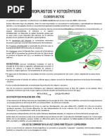 Infografía Cromoforo y Auxocromo | PDF
