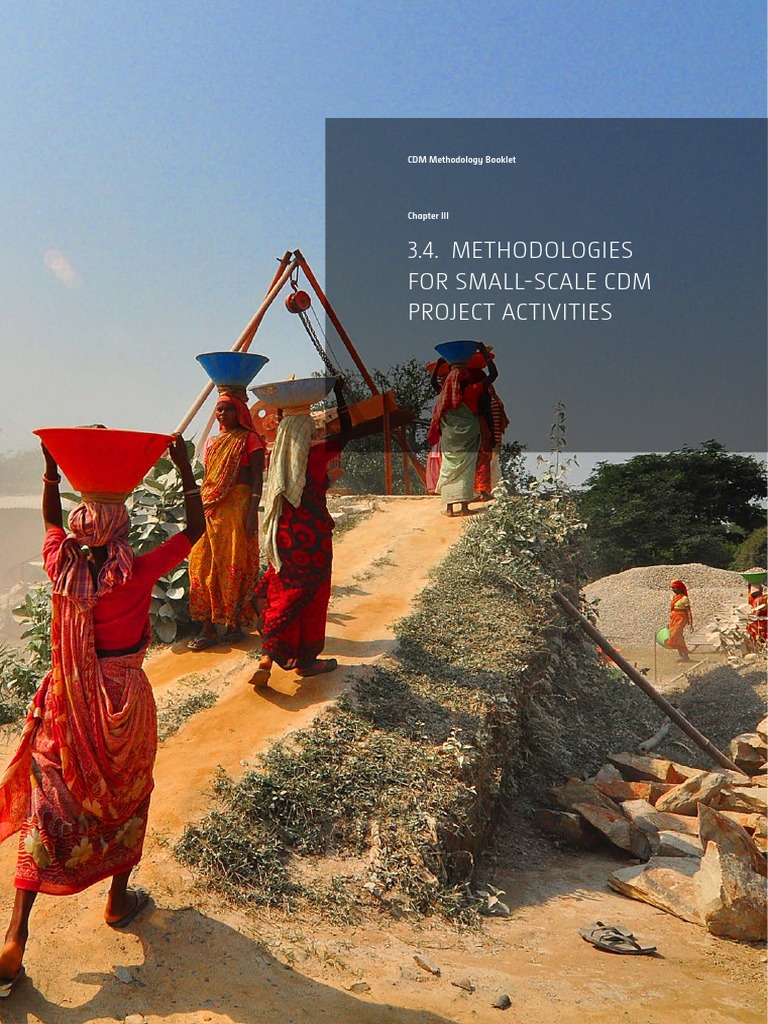 CDM Methodology Booklet - Fullversion 170 180 | PDF | Biomass ...