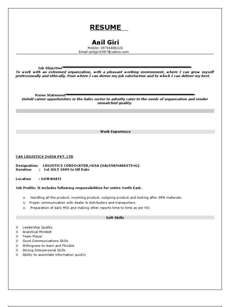 Anil Giri: Professional Resume | PDF