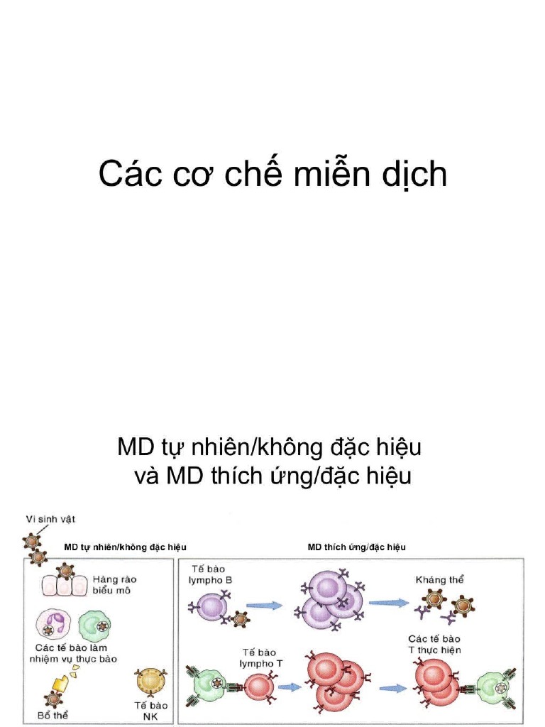 Co Che Mien Dich | PDF