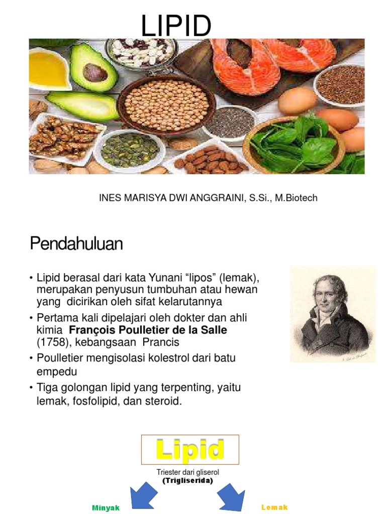 Lipid | PDF