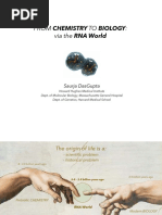 Assignment For BCH3356 | PDF | Amino Acid | Structural Biology