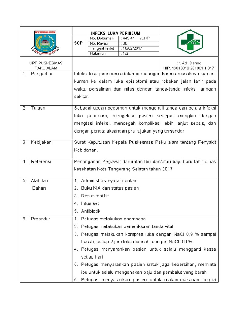 Infeksi Luka Perineum | PDF