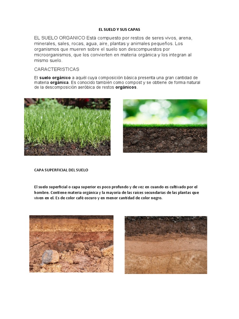 El Suelo y Sus Capas | PDF