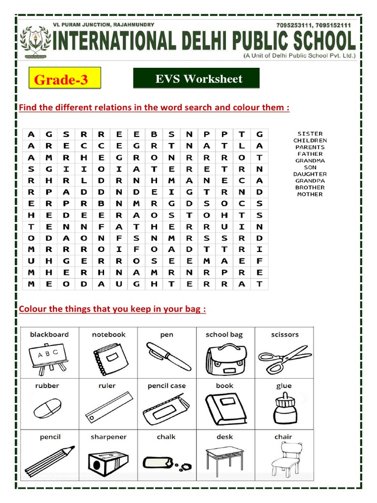 Grade 3 EVS Worksheet 1 | PDF
