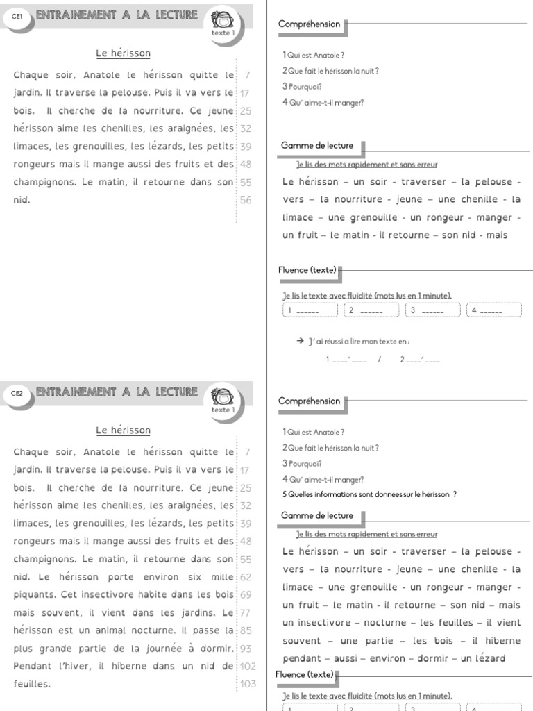 Fluence CE1-CE2 Année 2 Période 1 | PDF